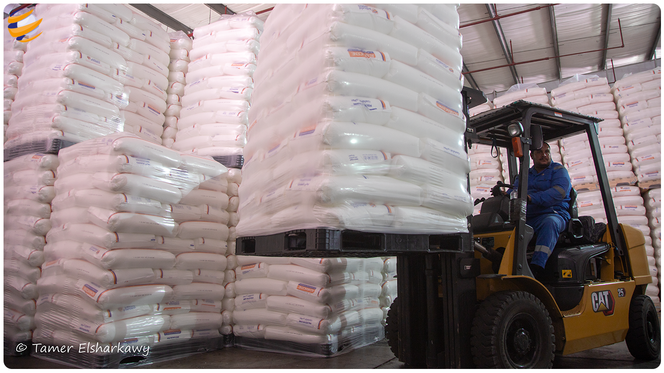 Ethydco: First Shipment of Pallets Made from Recycled Plastic in the ...